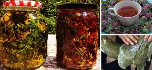 The Amish Herbal Remedies You Should Know - The Lost Herbs