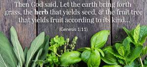 God’s Cures: 10 Remedies from the Bible - The Lost Herbs