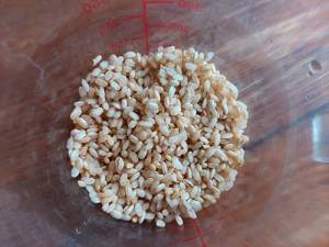 Fermented Rice Water - The Lost Herbs