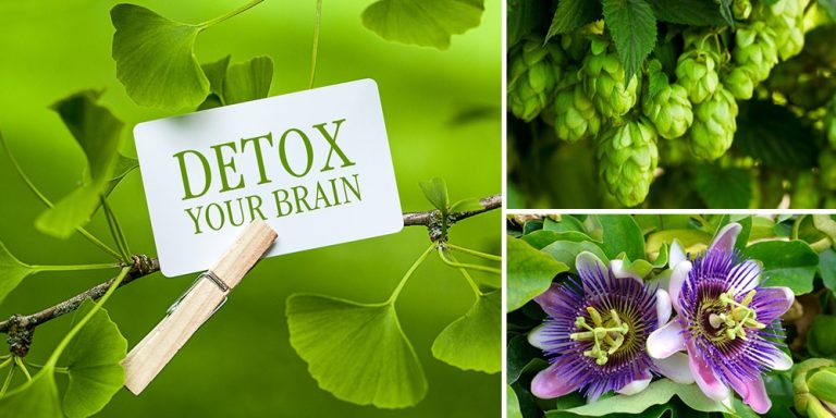 Two Powerful (and Surprising) Methods for Detoxing Your Brain - The ...