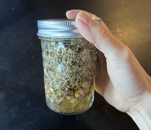 DIY Amish Elixir for Pain Management - Amish Ibuprofen - The Lost Herbs