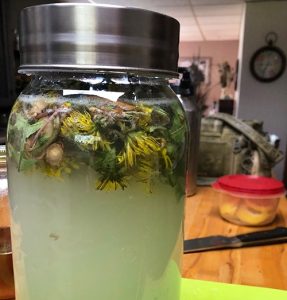 Dandelion Lemonade for Gallbladder Health - The Lost Herbs