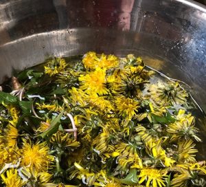 Dandelion Lemonade for Gallbladder Health - The Lost Herbs