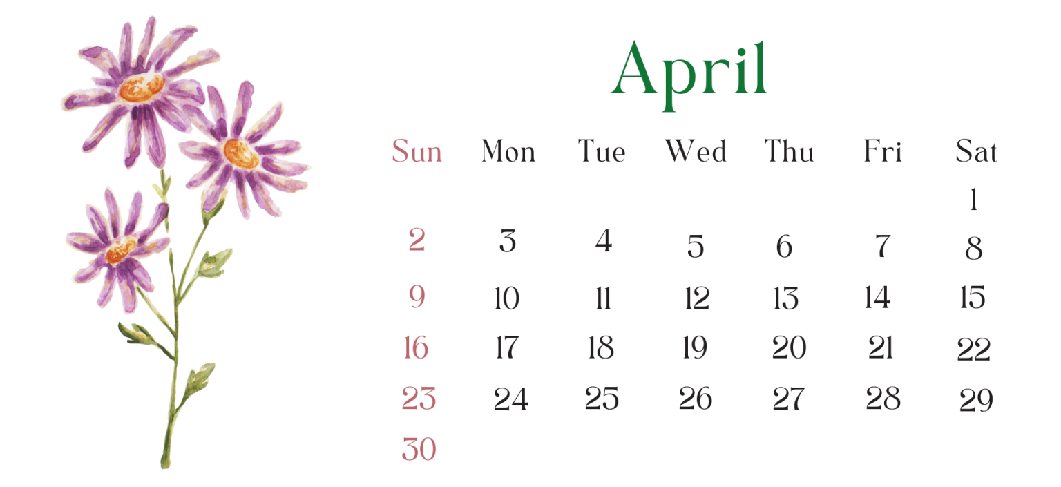 Foraging Calendar: What to Forage in April - The Lost Herbs