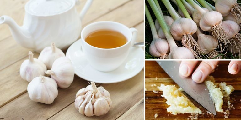 What Happens If You Drink Garlic Tea? - The Lost Herbs