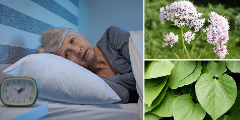 Herbal Remedies for Insomnia That Actually Work - The Lost Herbs