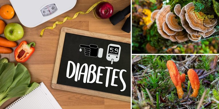 Struggling with Diabetes? Here are My Top 4 Herbal Remedies - The Lost ...