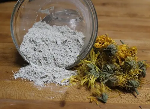 Homemade Bug Bite Powder - The Lost Herbs