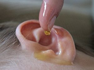 Homemade Garlic Ear Drops For Infections - The Lost Herbs
