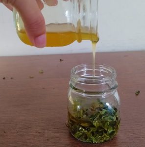 Moringa + Honey - The Lost Herbs