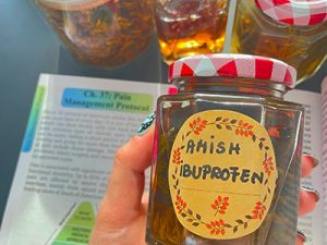 Homemade Amish Dandelion Wine - The Lost Herbs