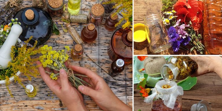 How to Make Alcohol-Free Tinctures - The Lost Herbs
