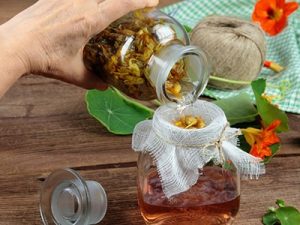 How to Make Alcohol-Free Tinctures - The Lost Herbs