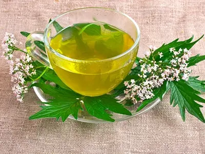 Top Sciatica Herbs That Actually Work for Nerve Pain Relief - The Lost ...