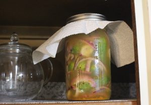 Medicinal Honey Garlic Pickles - The Lost Herbs