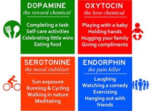 Herbs to Boost Dopamine, the "Feel-Good" Hormone - The Lost Herbs