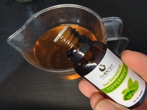 Homemade Mouthwash for Sore Gums - The Lost Herbs