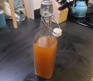 DIY Fermented Water - The Lost Herbs