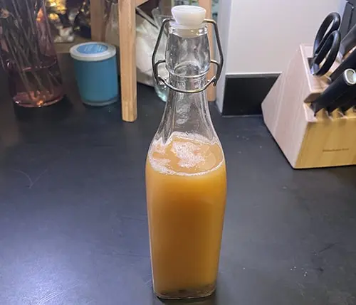 DIY Fermented Water - The Lost Herbs