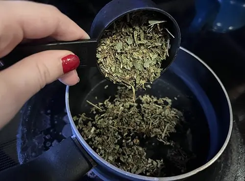 Homemade Cold Sore Spray - The Lost Herbs