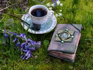 Moon Tea - The Lost Herbs