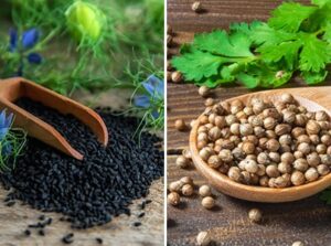 Herbs You Should Always Take Together - The Lost Herbs