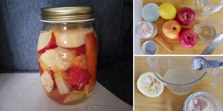 DIY Probiotic Fermented Apples - The Lost Herbs