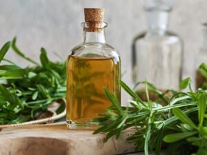 How to Use Cleavers to Your Advantage - The Lost Herbs