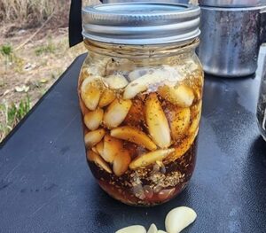 10 Medicinal Plants Nuns Used to Grow - The Lost Herbs