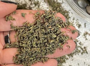 DIY Antiparasitic Drano - The Lost Herbs