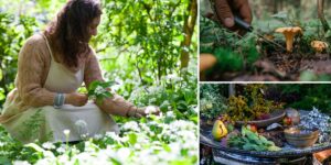 Deadly Mistakes Even the Most Experienced Foragers Make - The Lost Herbs