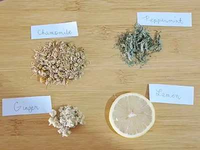 Stress Relief Cheat Sheet - The Lost Herbs