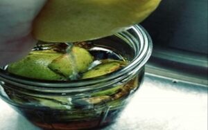 The Black Walnut Remedy That Cleans Your Intestines of Parasites - The ...