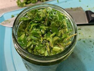 Top 5 Herbal Remedies to Make This Spring