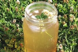 Top 5 Herbal Remedies to Make This Spring