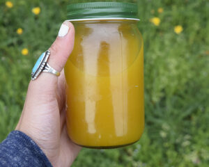 Gut Renewal Elixir - The Lost Herbs