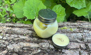 DIY Anti-Bug Balm - The Lost Herbs