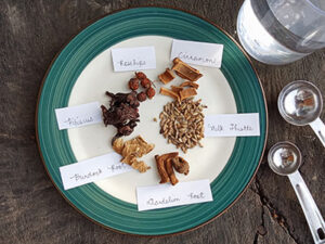 10 Signs Your Liver Needs Help - The Lost Herbs