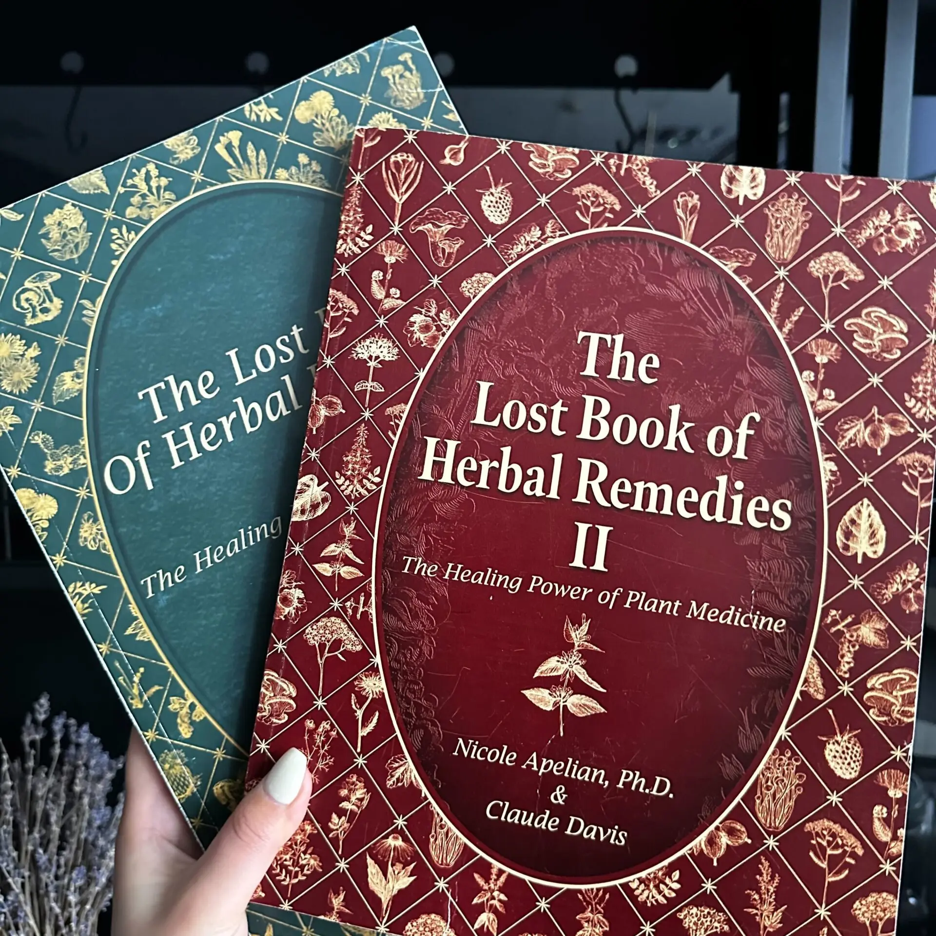 My Top 10 Herbal Remedies for Beginners - The Lost Herbs