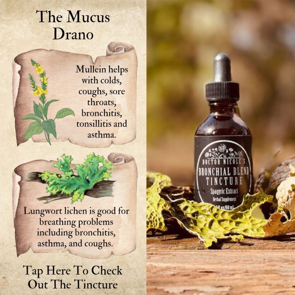 DIY Lung-Cleansing Elixir - The Lost Herbs