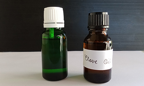 DIY Clove Oil for Toothache - The Lost Herbs