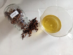 DIY Clove Oil for Toothache - The Lost Herbs