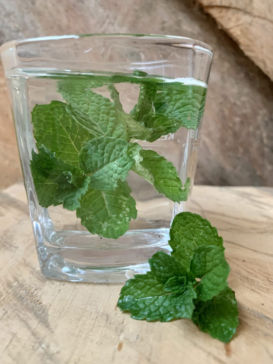 You've Been Drinking Water Wrong - The Lost Herbs