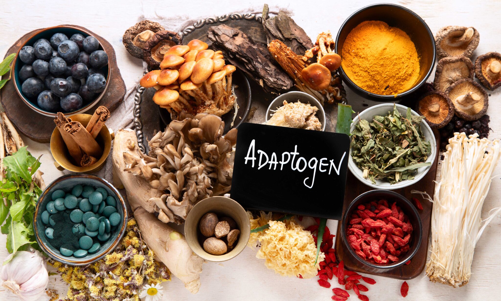 Adaptogens 101 - The Lost Herbs