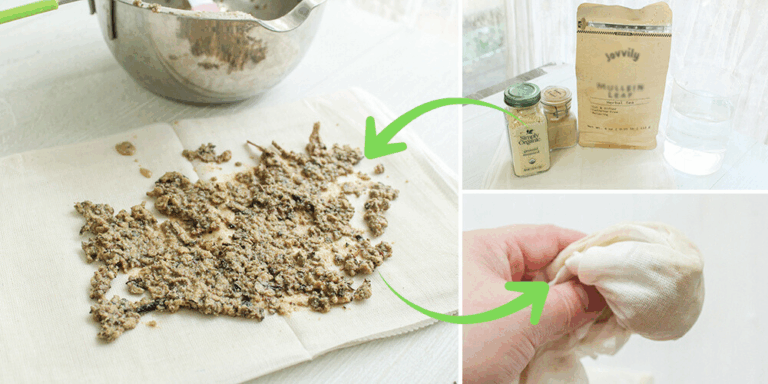 Herbal Poultice Body Map - The Lost Herbs