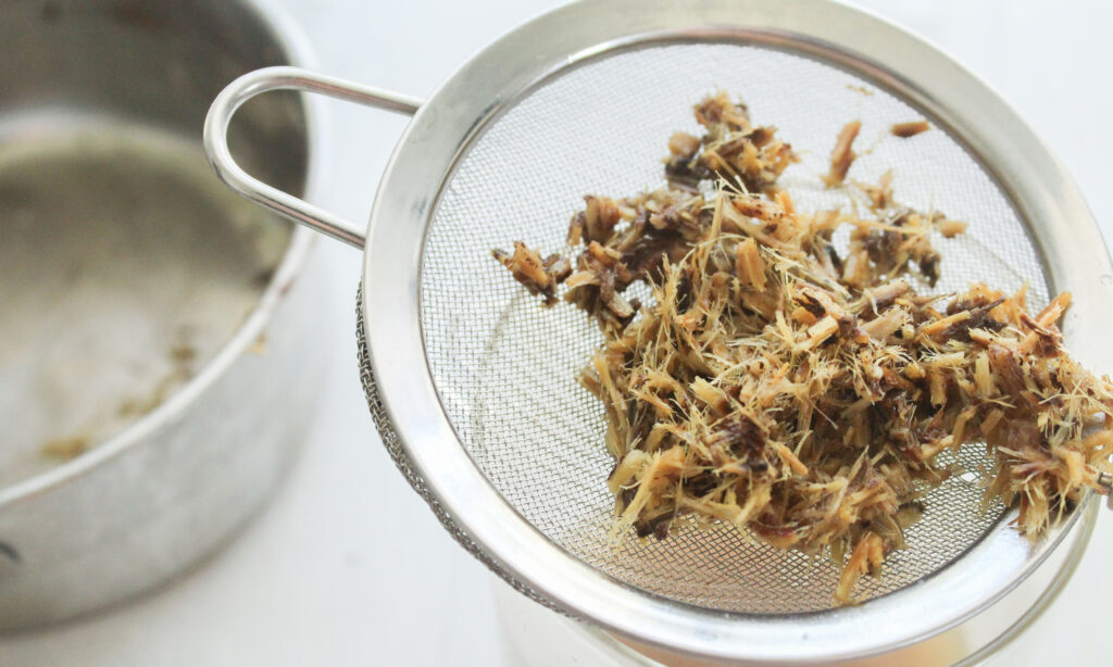 Chew On This Root to Stop Tooth Decay - The Lost Herbs
