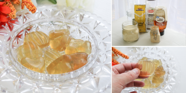 Homemade Motion Sickness Drops - The Lost Herbs